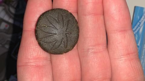 Properly Using a Pollen Press – Green Goddess Supply