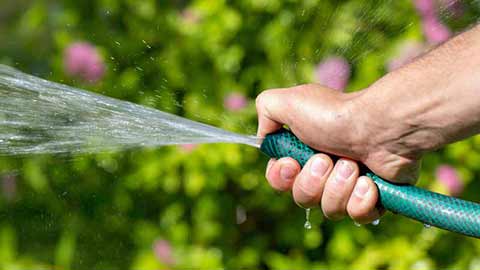 Grower's Corner: The Case for Flushing – Green Goddess Supply